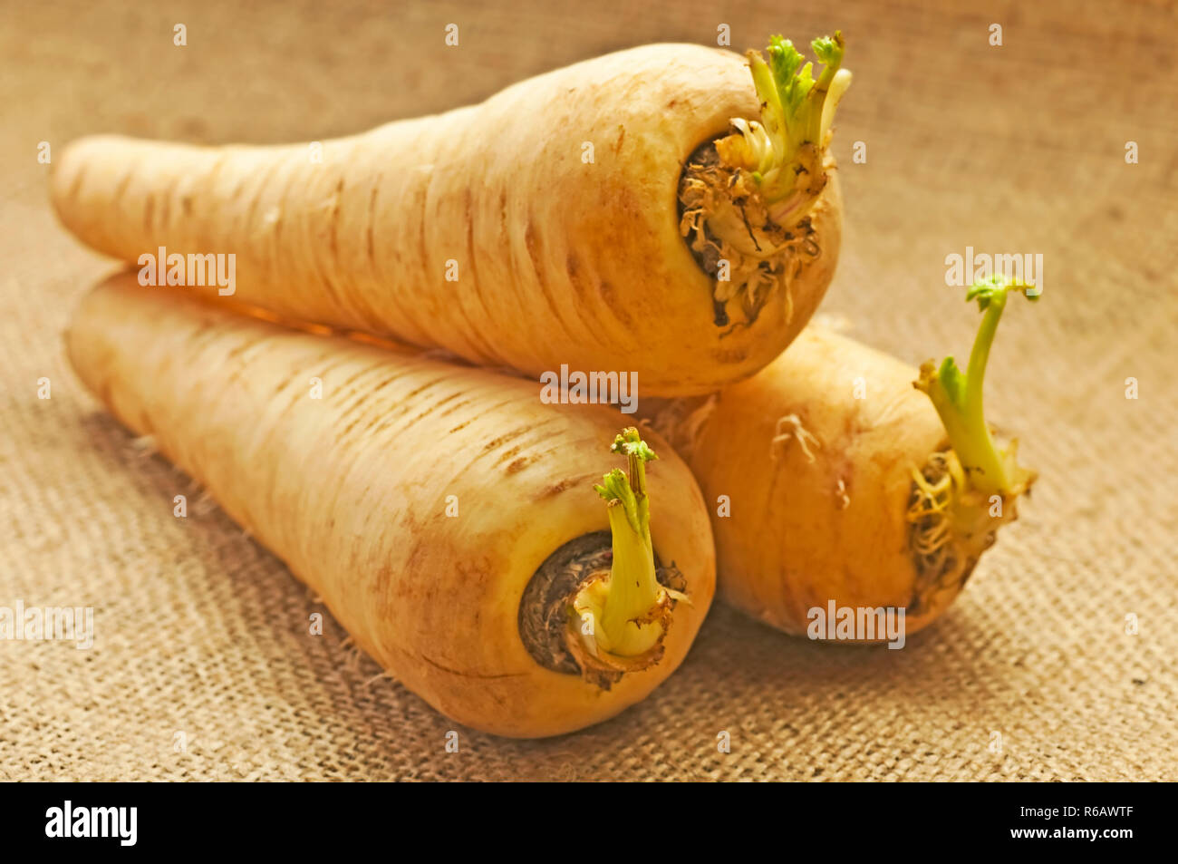 Forgotten vegetable hi-res stock photography and images - Alamy