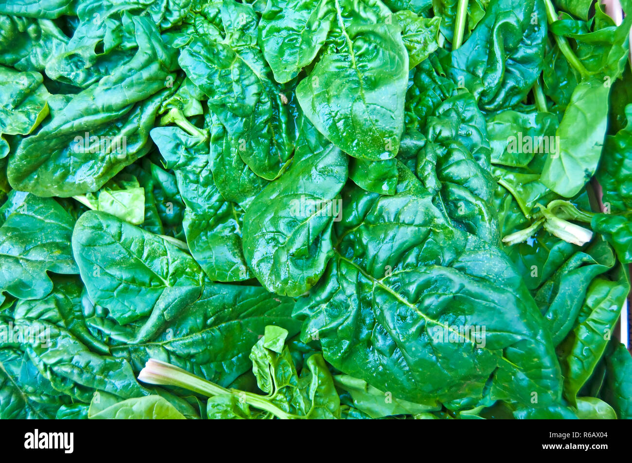 Spinach At A Farmer Market Stock Photo - Alamy