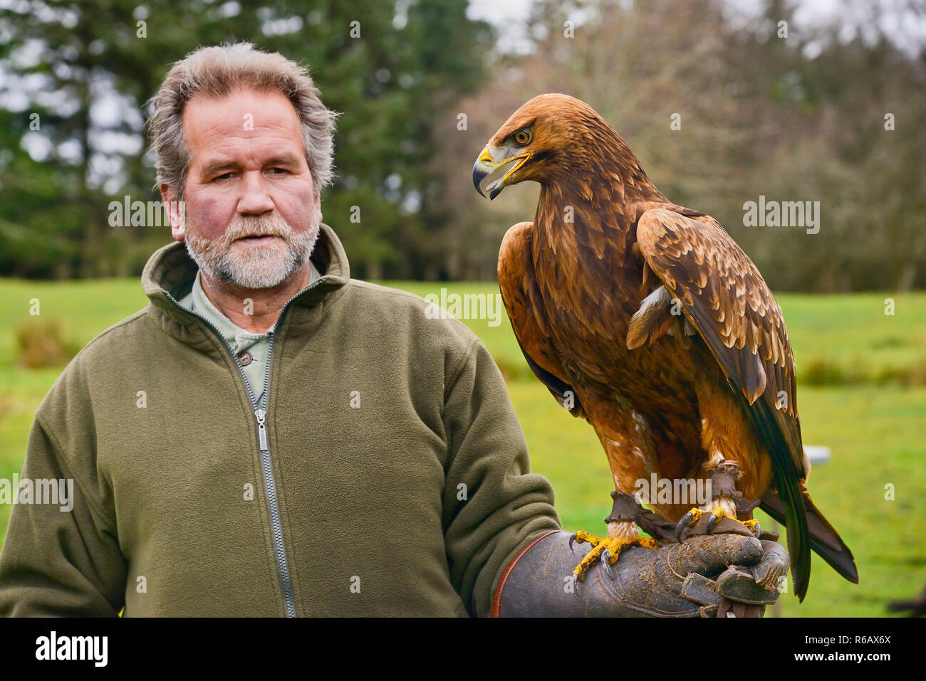 Ireland, County Sligo, Ballymote, Eagles Flying tourist attraction ...