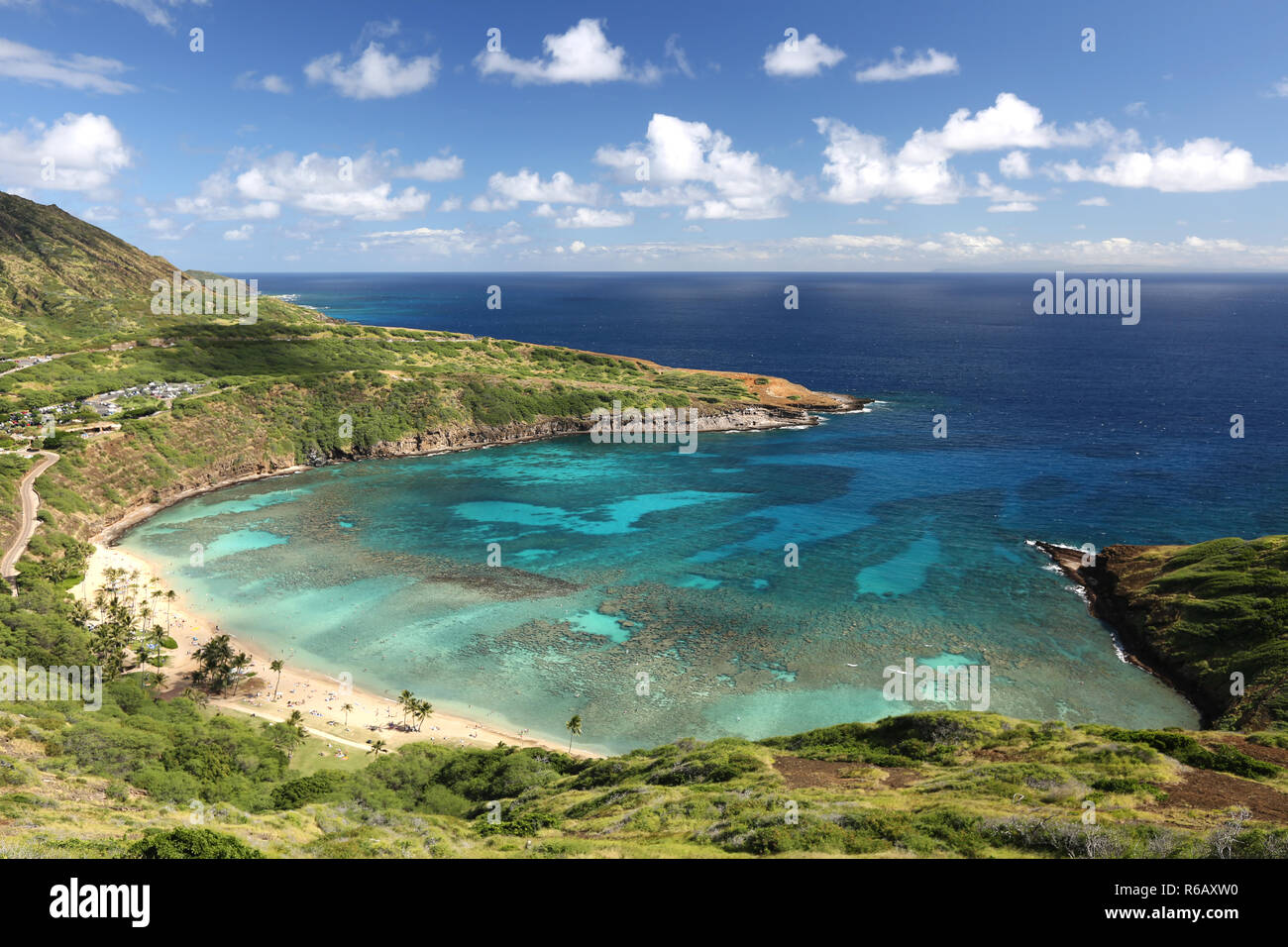 Marine life of hawaii hi-res stock photography and images - Alamy