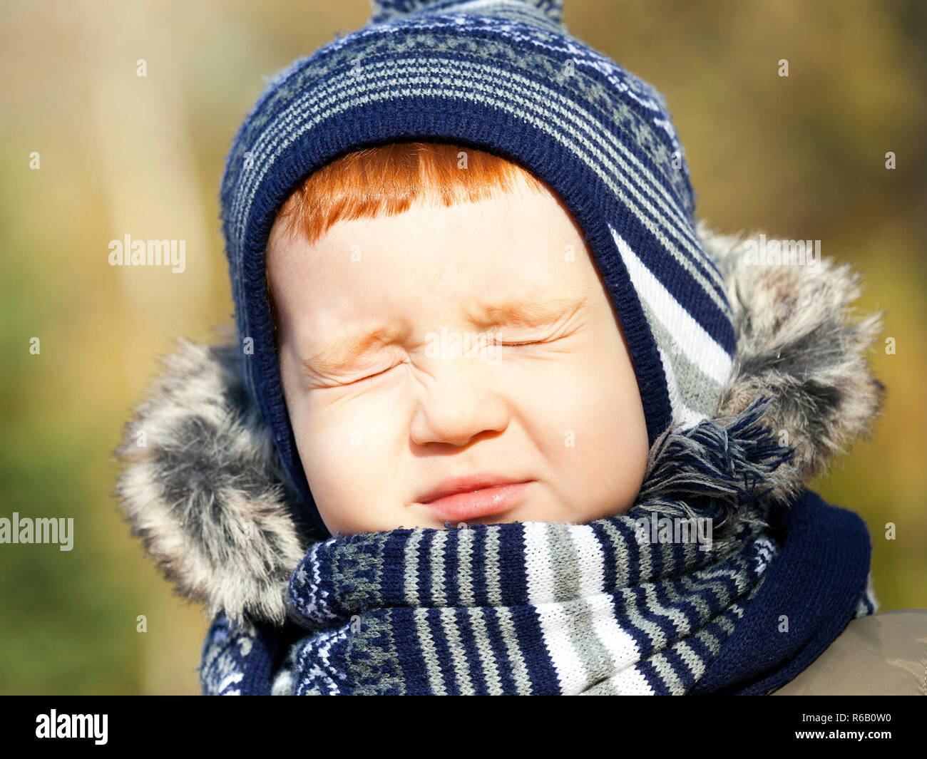 Tree with frost spruce bud Stock Photo - Alamy
