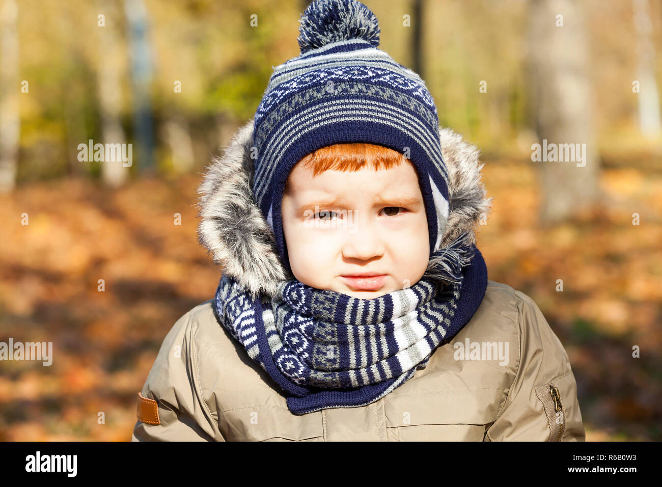 Tree with frost spruce bud Stock Photo - Alamy