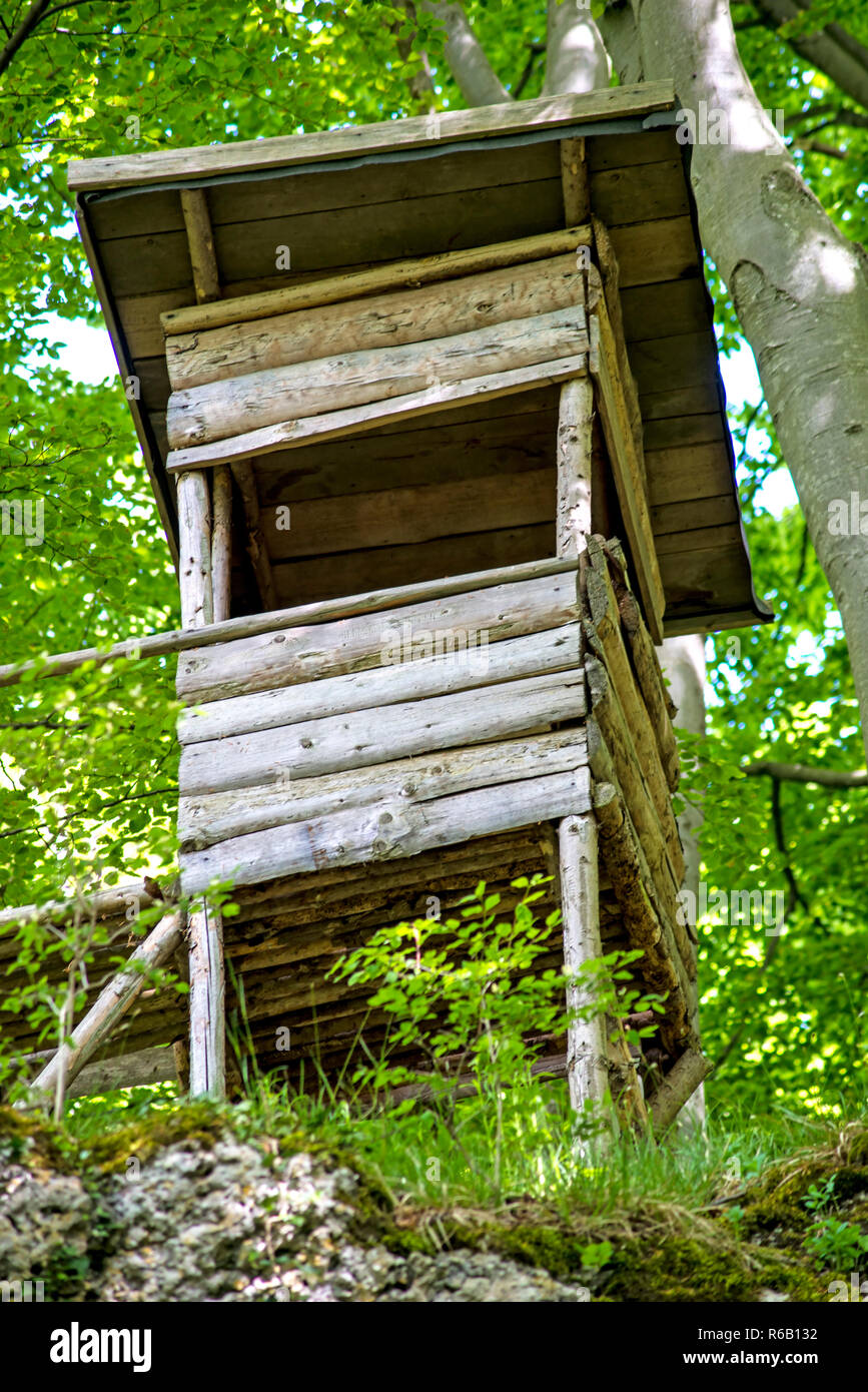 Raised hide in a spring forest hi-res stock photography and images - Alamy