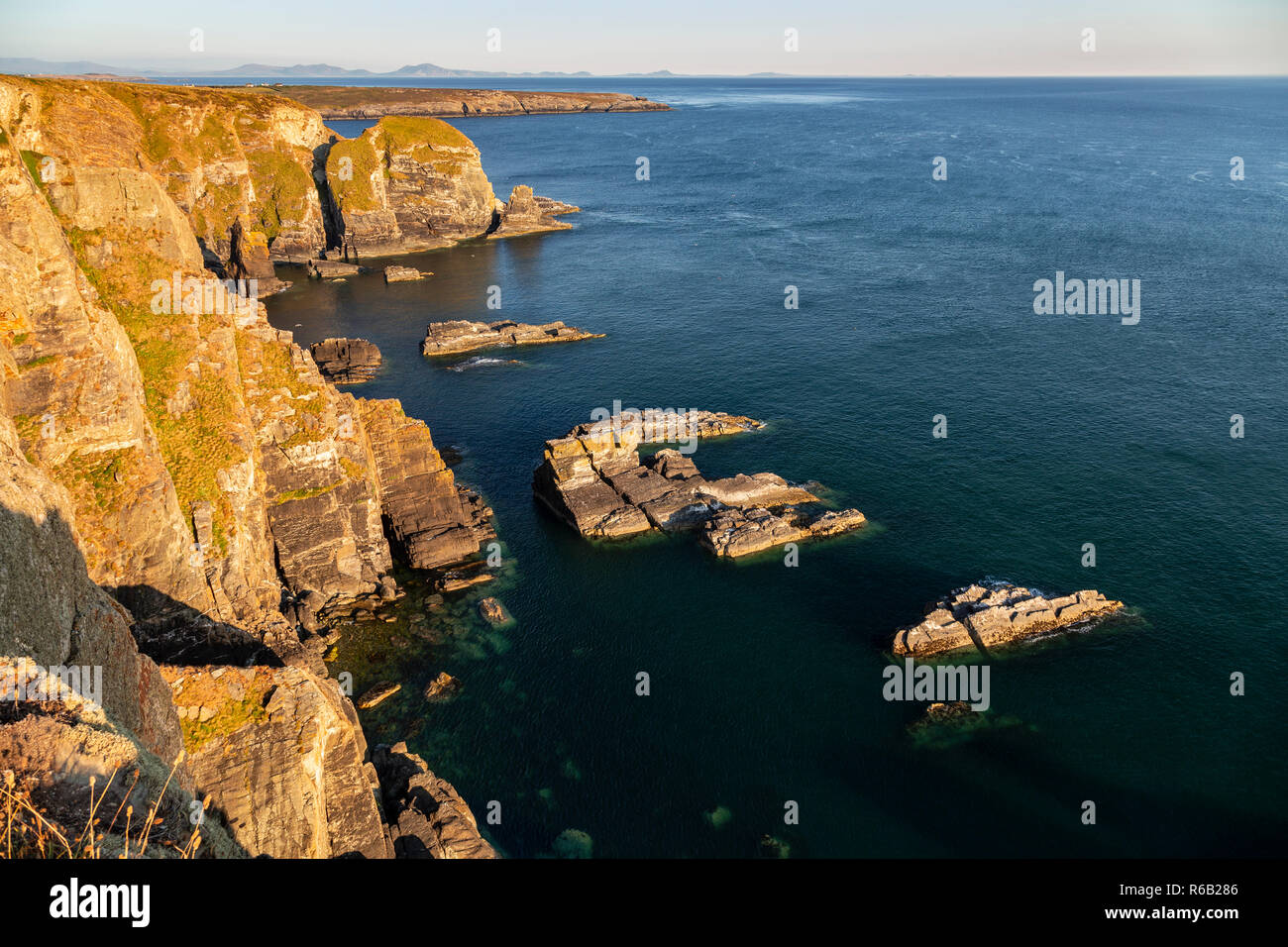 South Stack cliffs lit by the setting sun on the coast of Anglesey ...