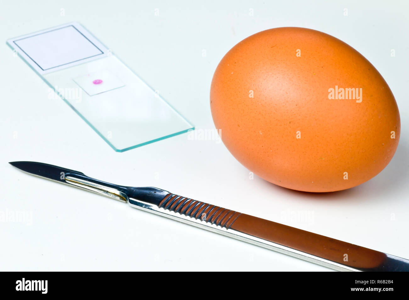 Official examination hi-res stock photography and images - Alamy