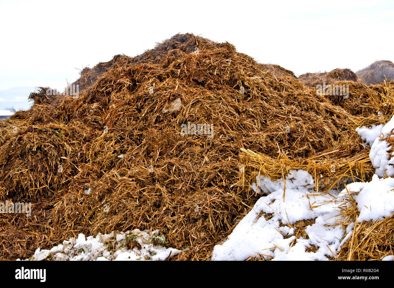 Dung Hill In Snow Stock Photo - Alamy