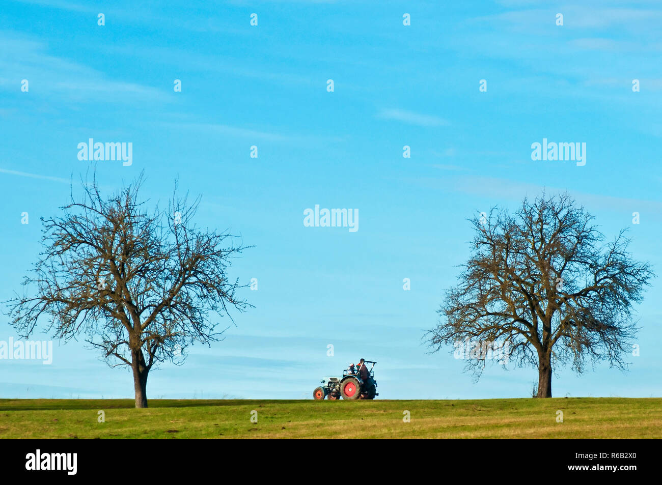 Trecker Within Trees Stock Photo - Alamy