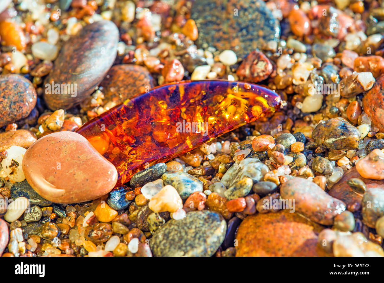 Amber On A Beach Of The Baltic Sea Stock Photo - Alamy