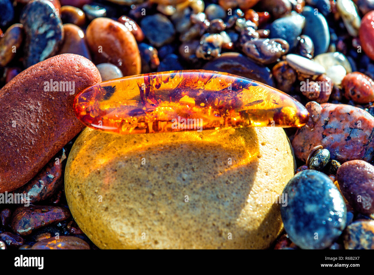 Amber On A Beach Of The Baltic Sea Stock Photo - Alamy