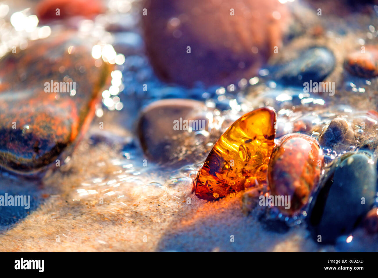 Amber On A Beach Of The Baltic Sea Stock Photo - Alamy
