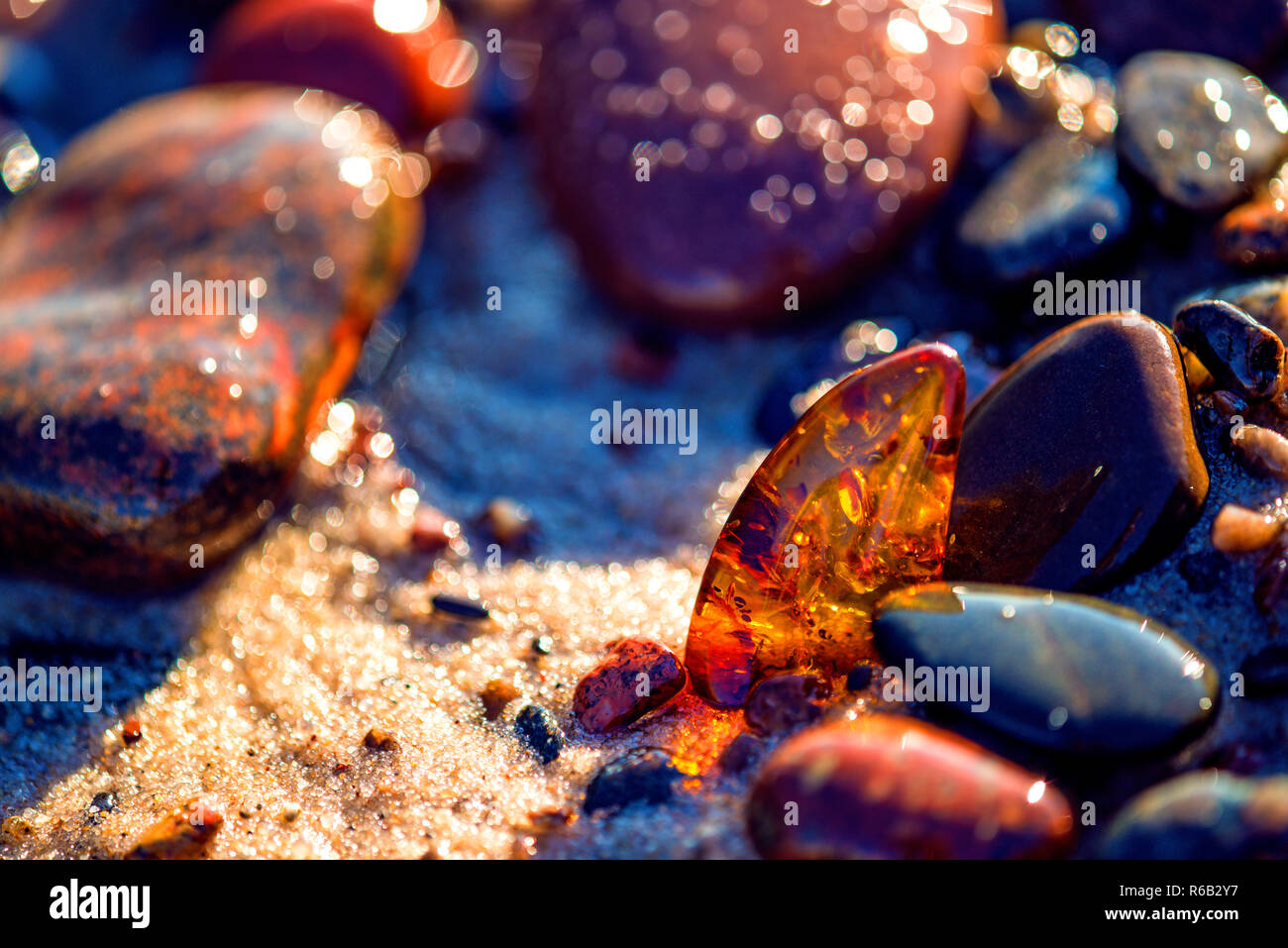 Amber On A Beach Of The Baltic Sea Stock Photo - Alamy