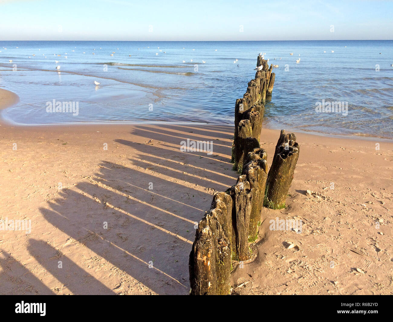 Groin In The Baltic Sea With Gulls Stock Photo - Alamy