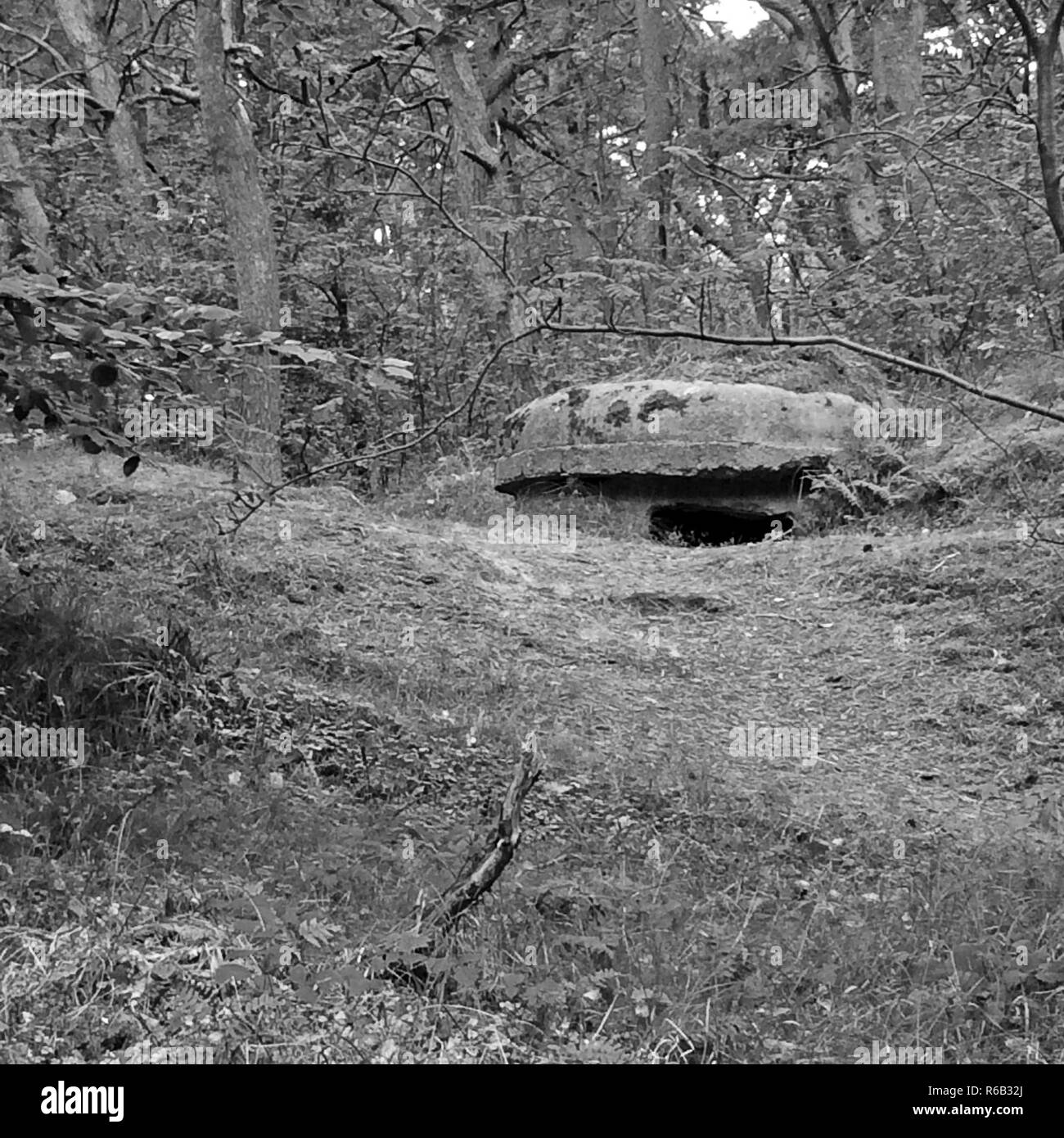 Bunker Of Ww2 In Poland Stock Photo - Alamy