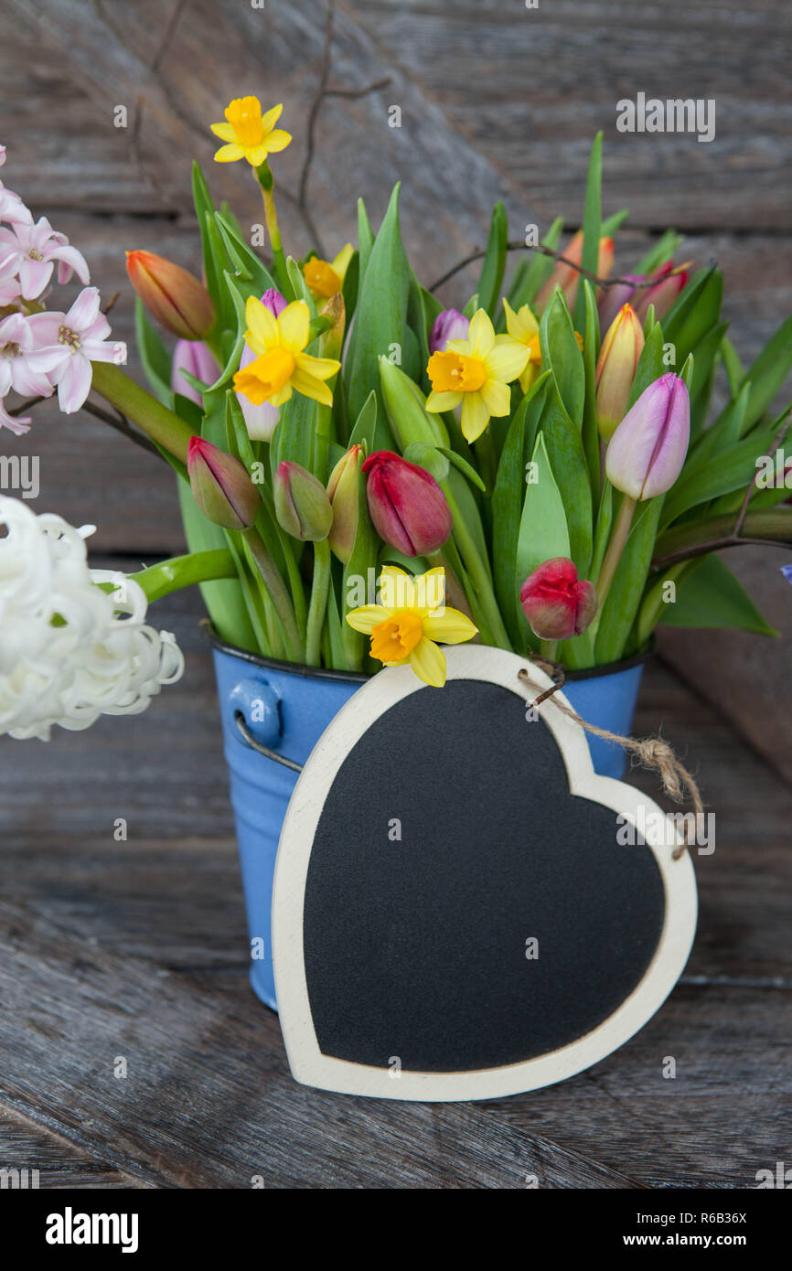 Colorful Spring Flowers Stock Photo - Alamy