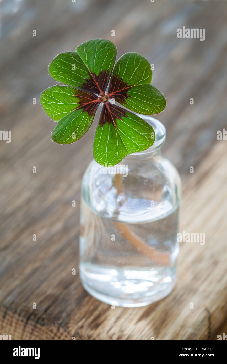 Bad luck vertical hi-res stock photography and images - Alamy