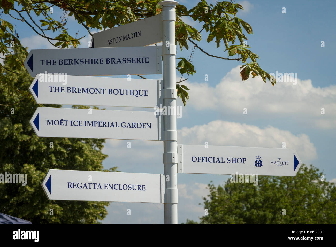 Henley royal regatta hi-res stock photography and images - Alamy
