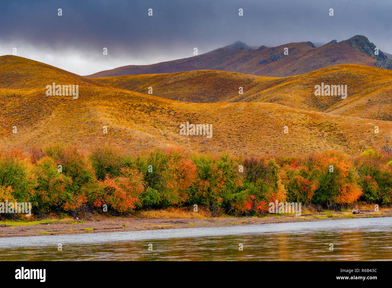 Autumn Forests along River in Hulun Buir Grasslands, Inner Mongolia ...