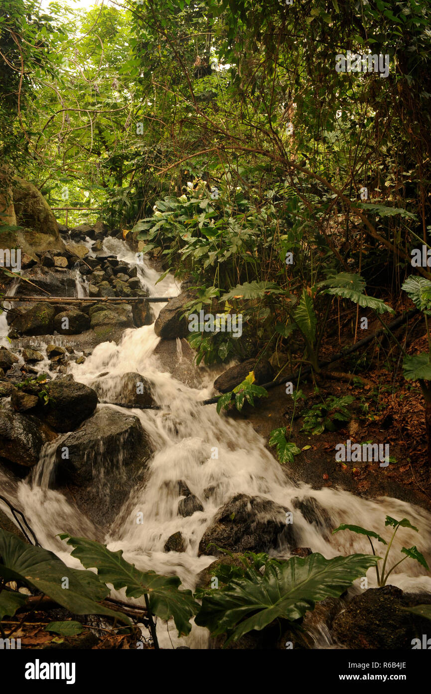 Eden project indoor waterfall hi-res stock photography and images - Alamy