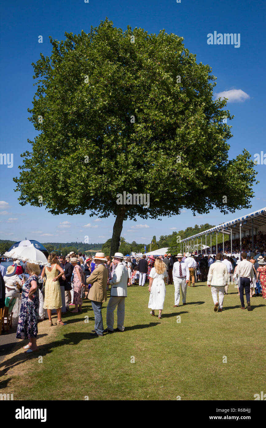 Inside the Stewards' enclosure at Henley Royal Regatta Stock Photo - Alamy