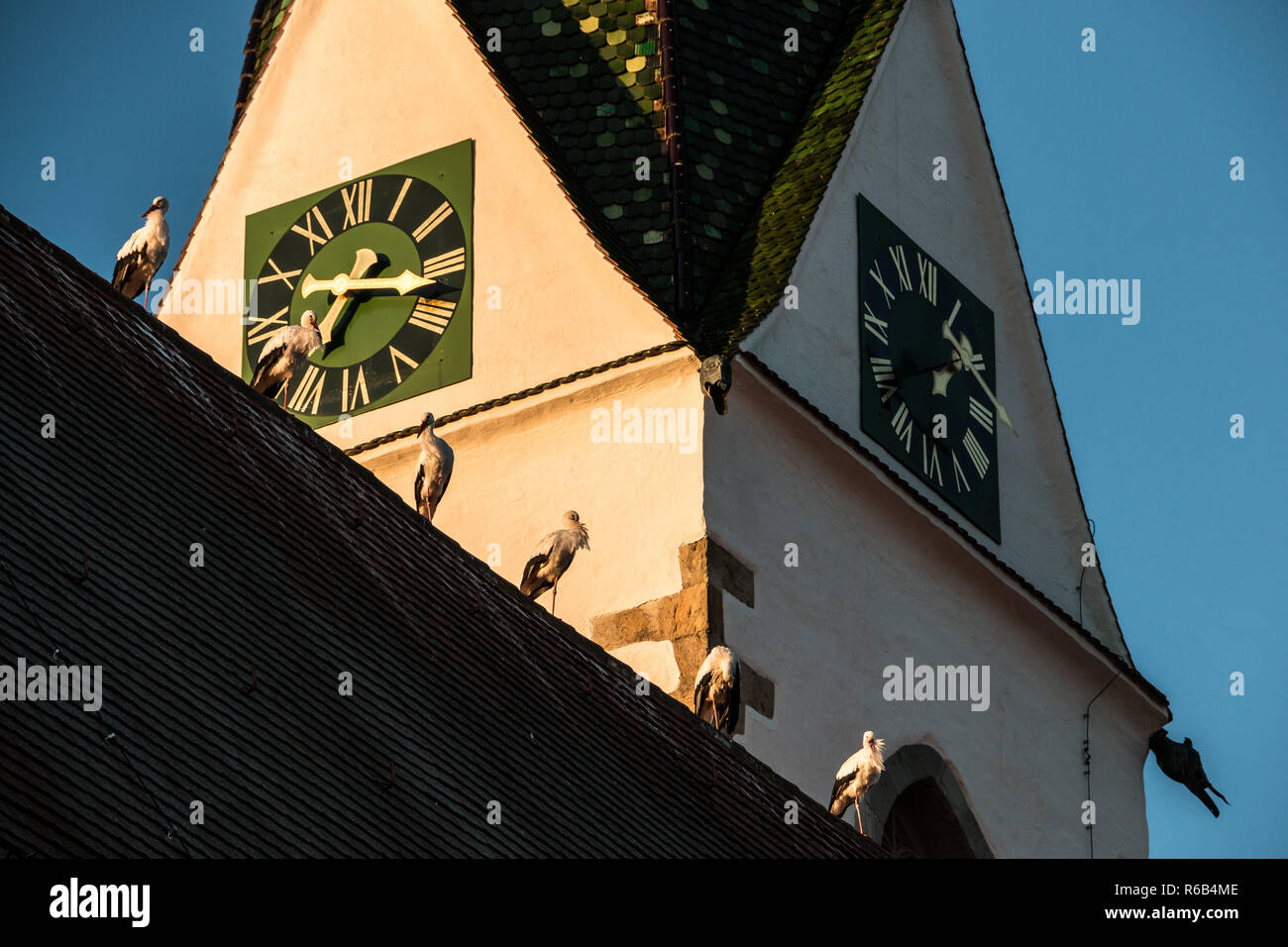 Stork god hi-res stock photography and images - Alamy