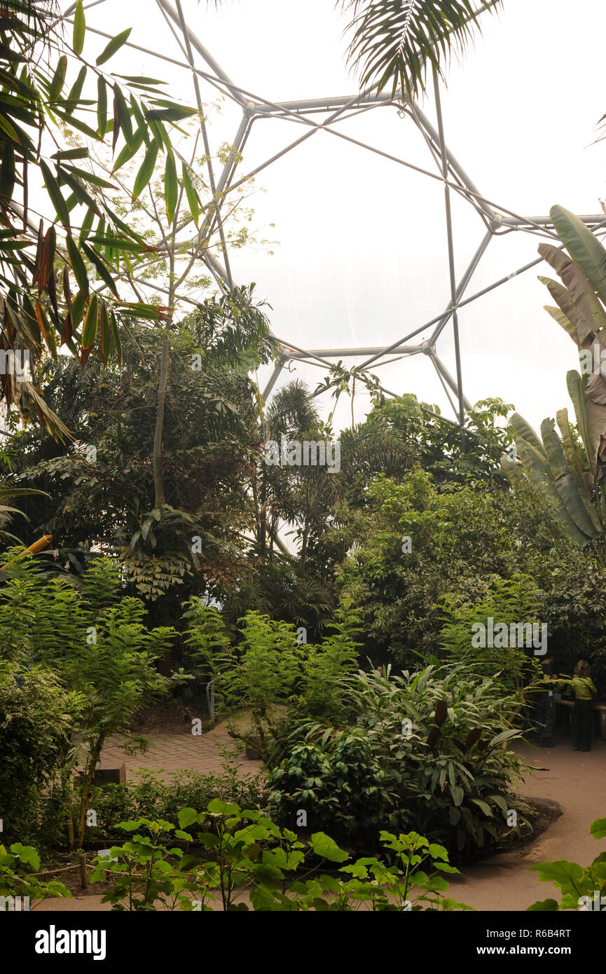 Eden project indoor waterfall hi-res stock photography and images - Alamy