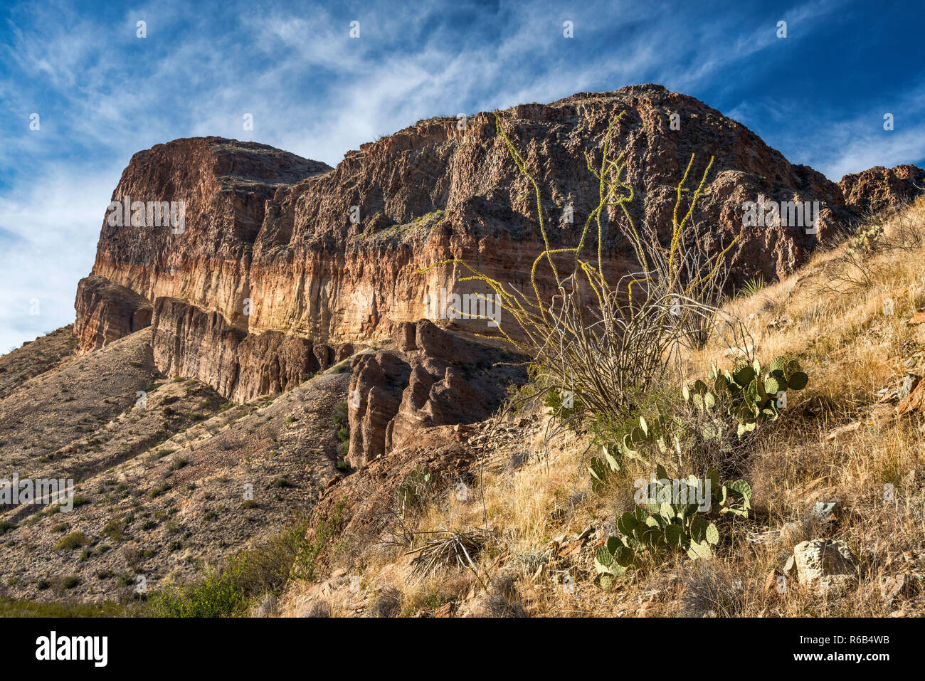 Burro Mesa massif, Chihuahuan Desert, Big Bend National Park, Texas ...