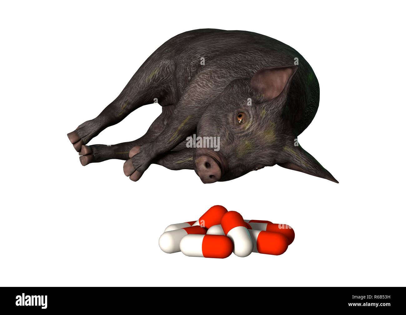 Substance pig hi-res stock photography and images - Alamy
