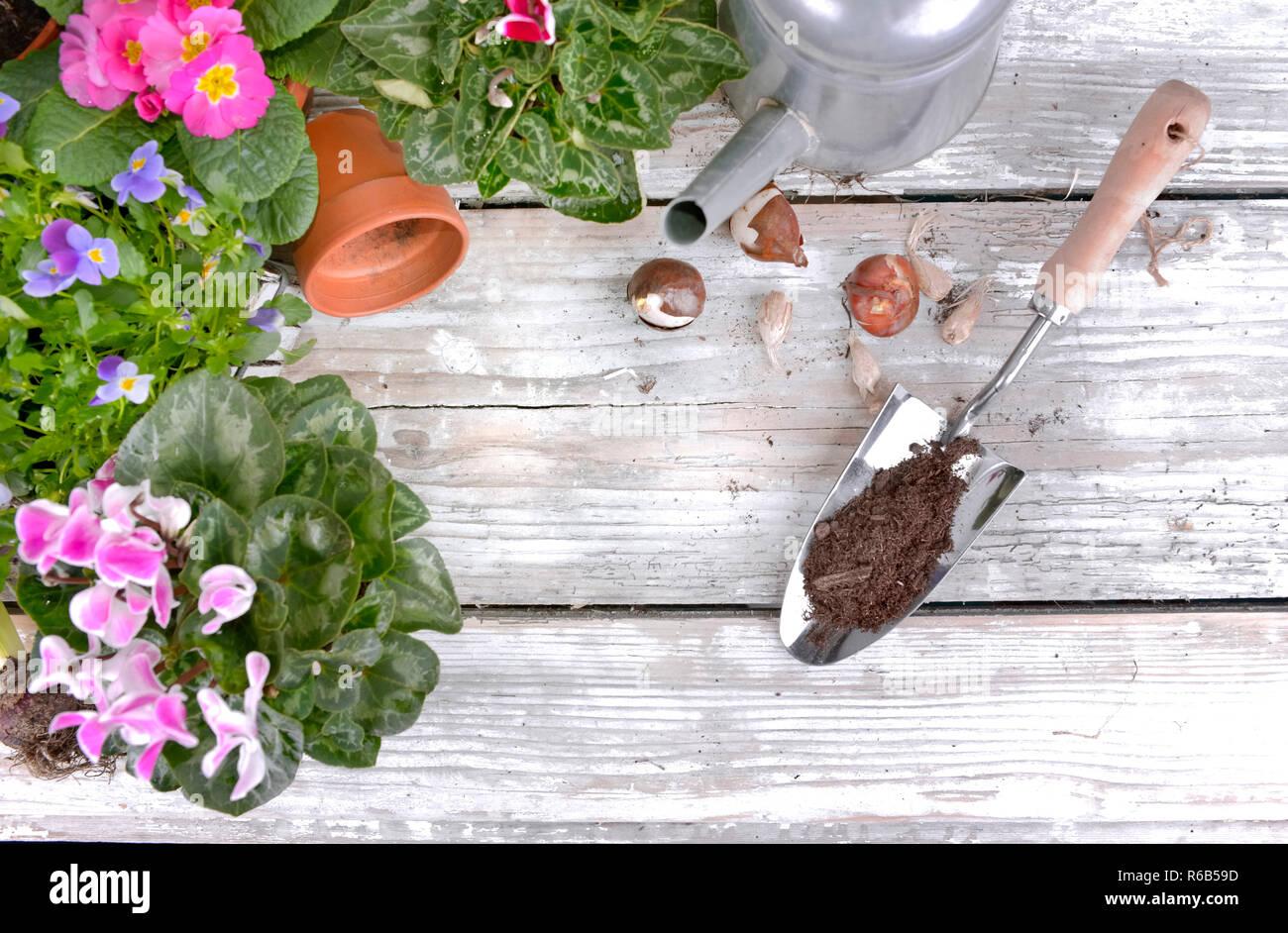 Put flowers on table hi-res stock photography and images - Alamy