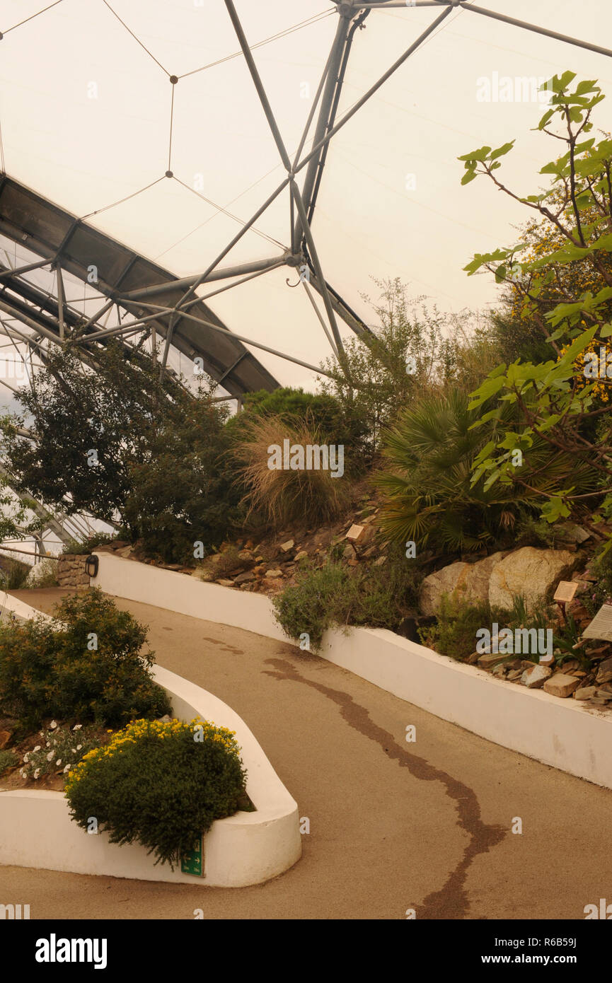 Eden project indoor waterfall hi-res stock photography and images - Alamy