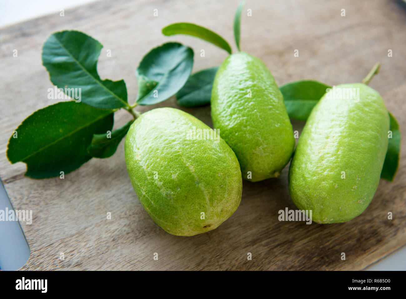 Pest free tree farming hi-res stock photography and images - Alamy