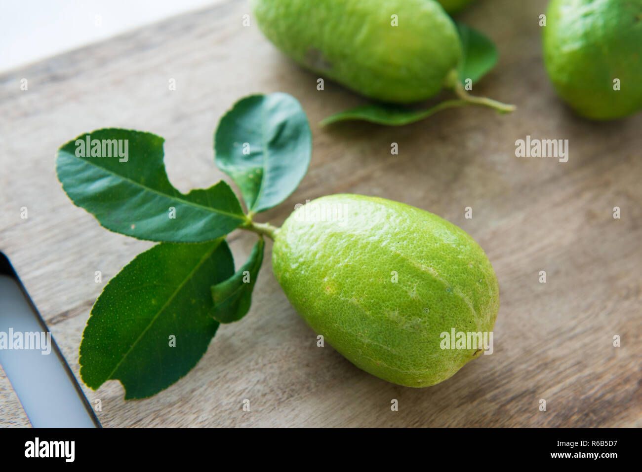 Lemon tree disease hi-res stock photography and images - Alamy