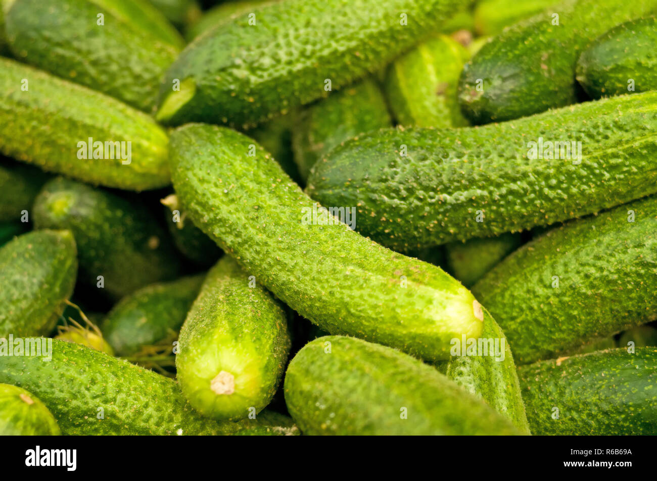 Curved cucumber hi-res stock photography and images - Alamy