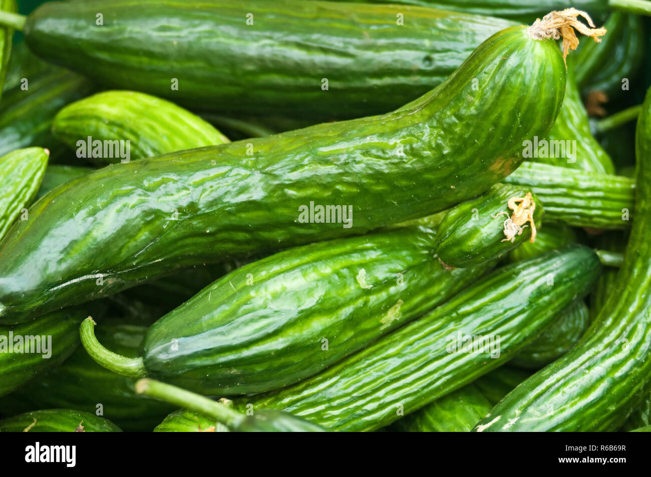 Cucumber At A Farmer Market Stock Photo - Alamy