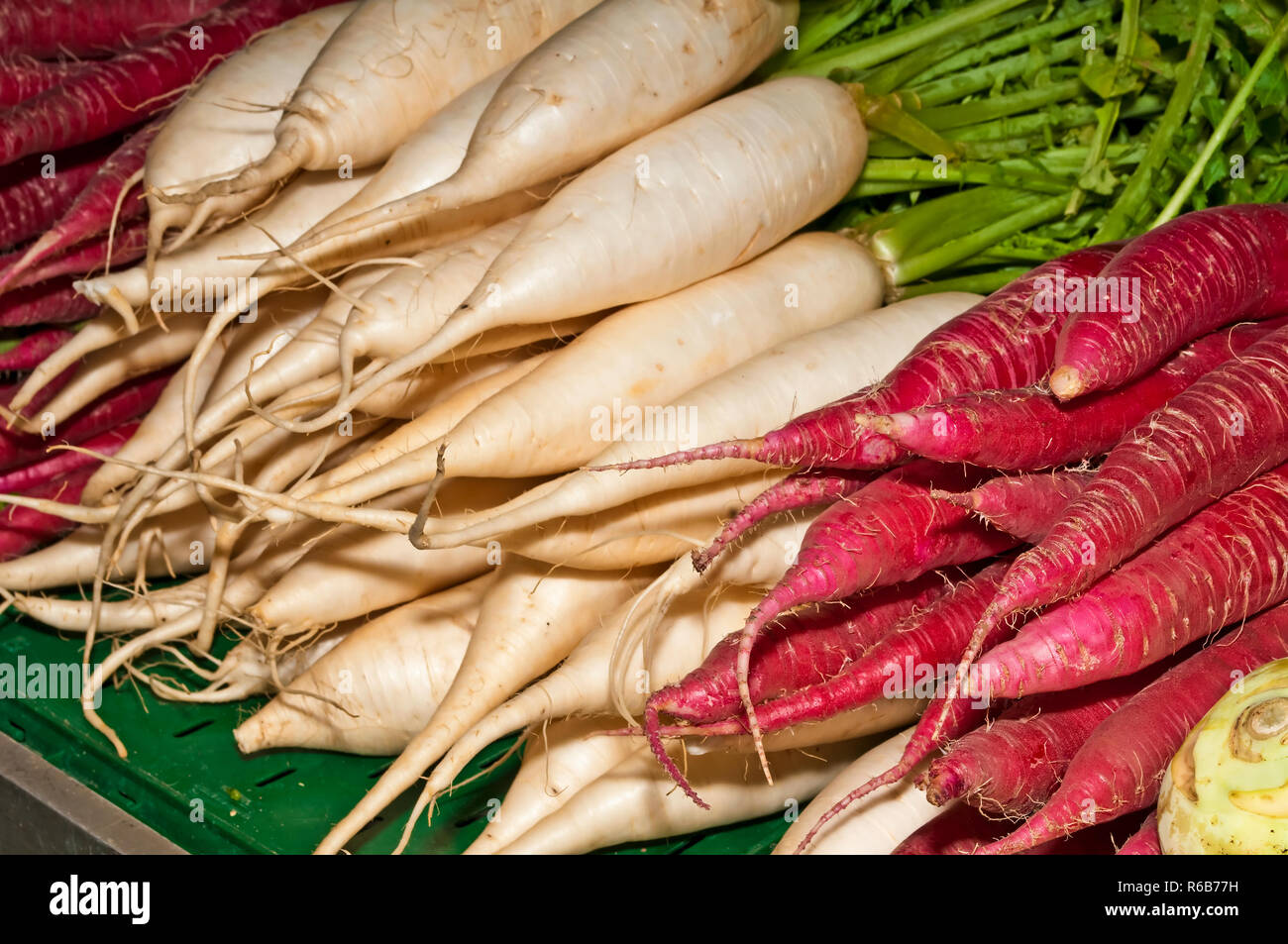 Red And White Radish Stock Photo - Alamy