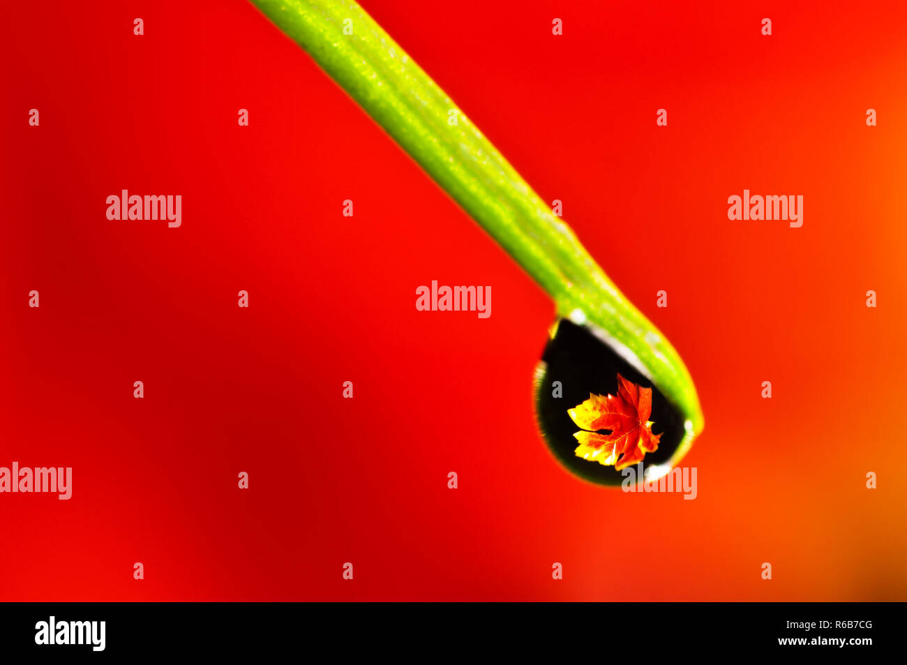 Water Drop Refraction Stock Photo - Alamy