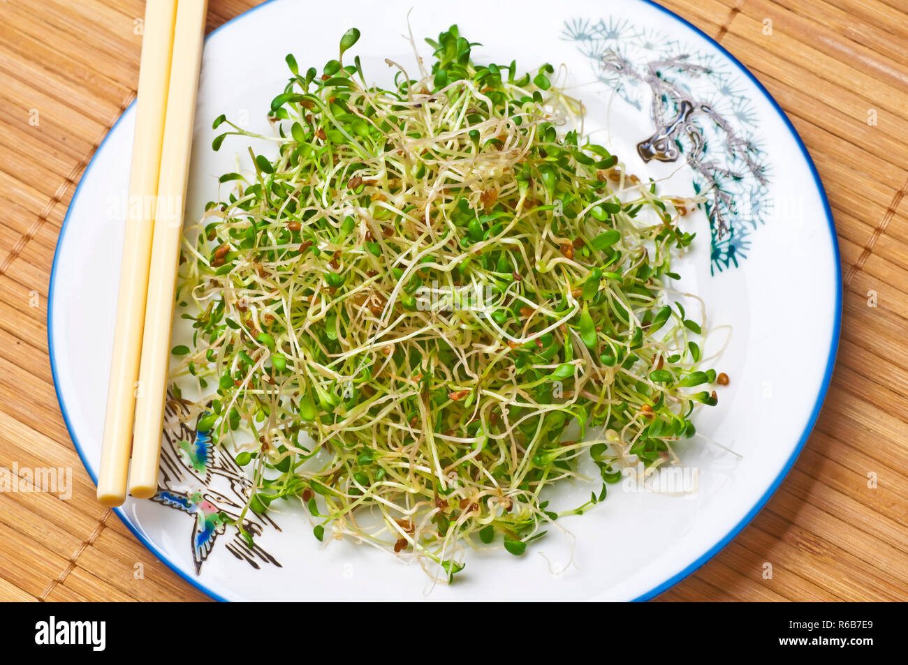 Sprouts Of Different Vegetables Stock Photo - Alamy