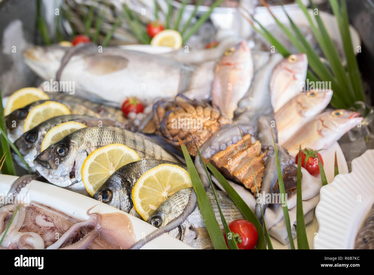 Lobster, octopus, cuttlefish, squid, calamari, red mullet, grouper, sea ...