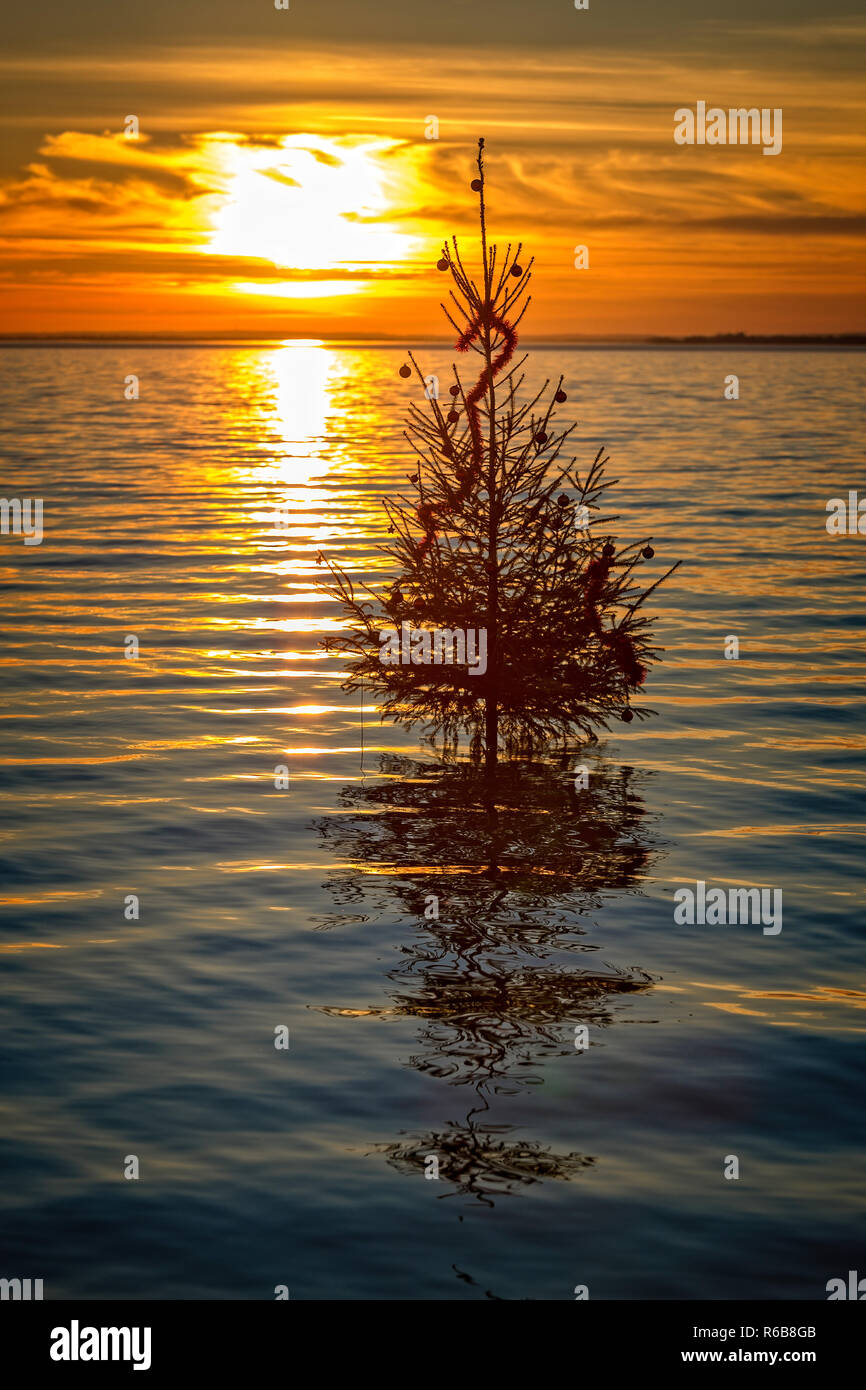 Hungarian Christmas tradition to set Christmas tree in the lake Balaton ...