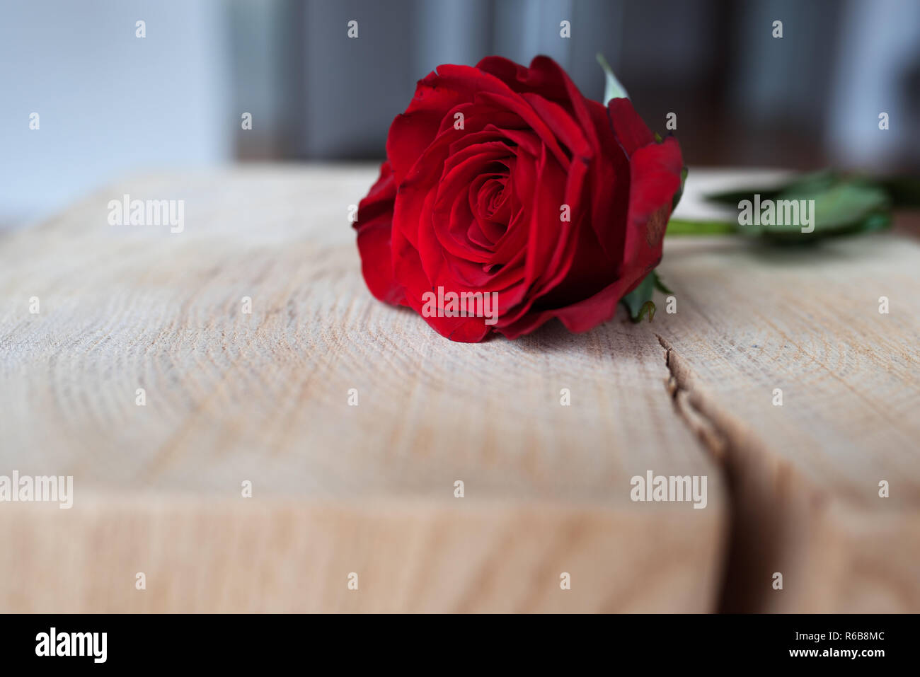 beautiful red rose on rustic wood Stock Photo - Alamy