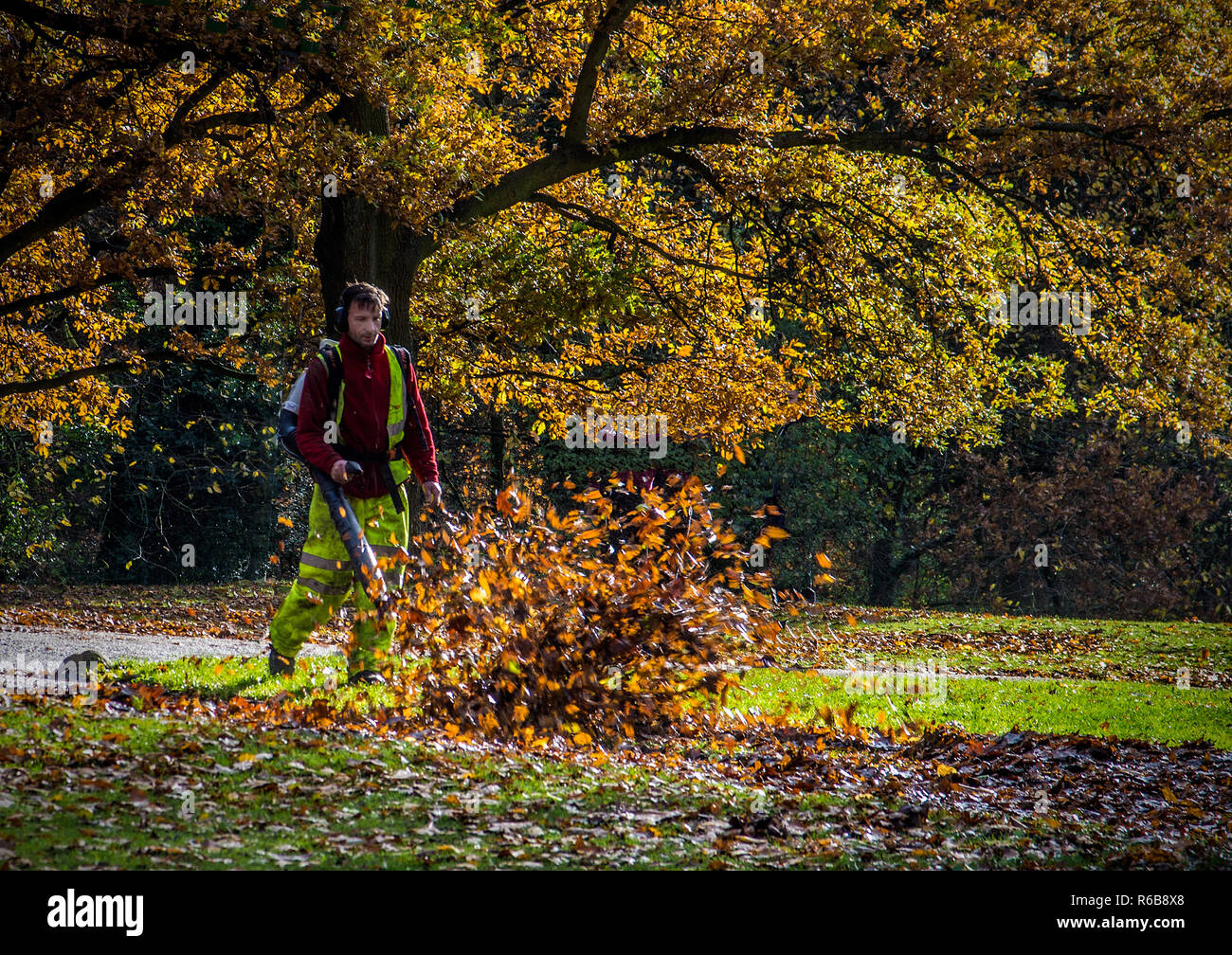 Clearing the Leaves Stock Photo - Alamy