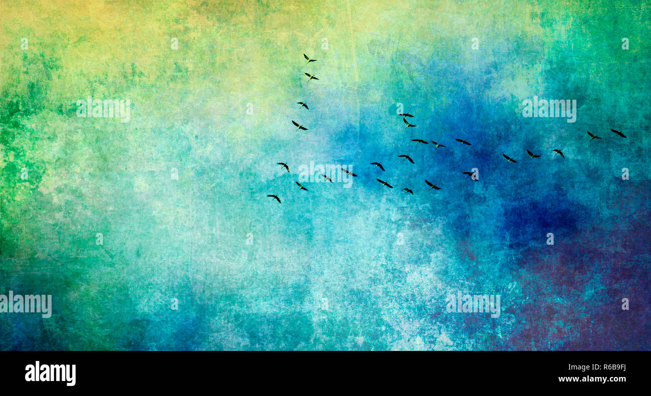 pulling birds texture concept Stock Photo - Alamy