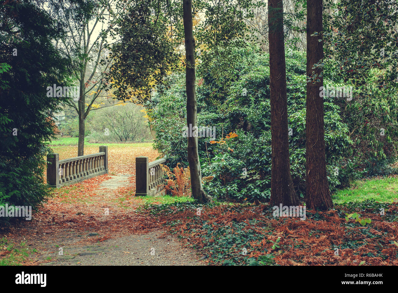 Park bridge arch fresh hi-res stock photography and images - Alamy