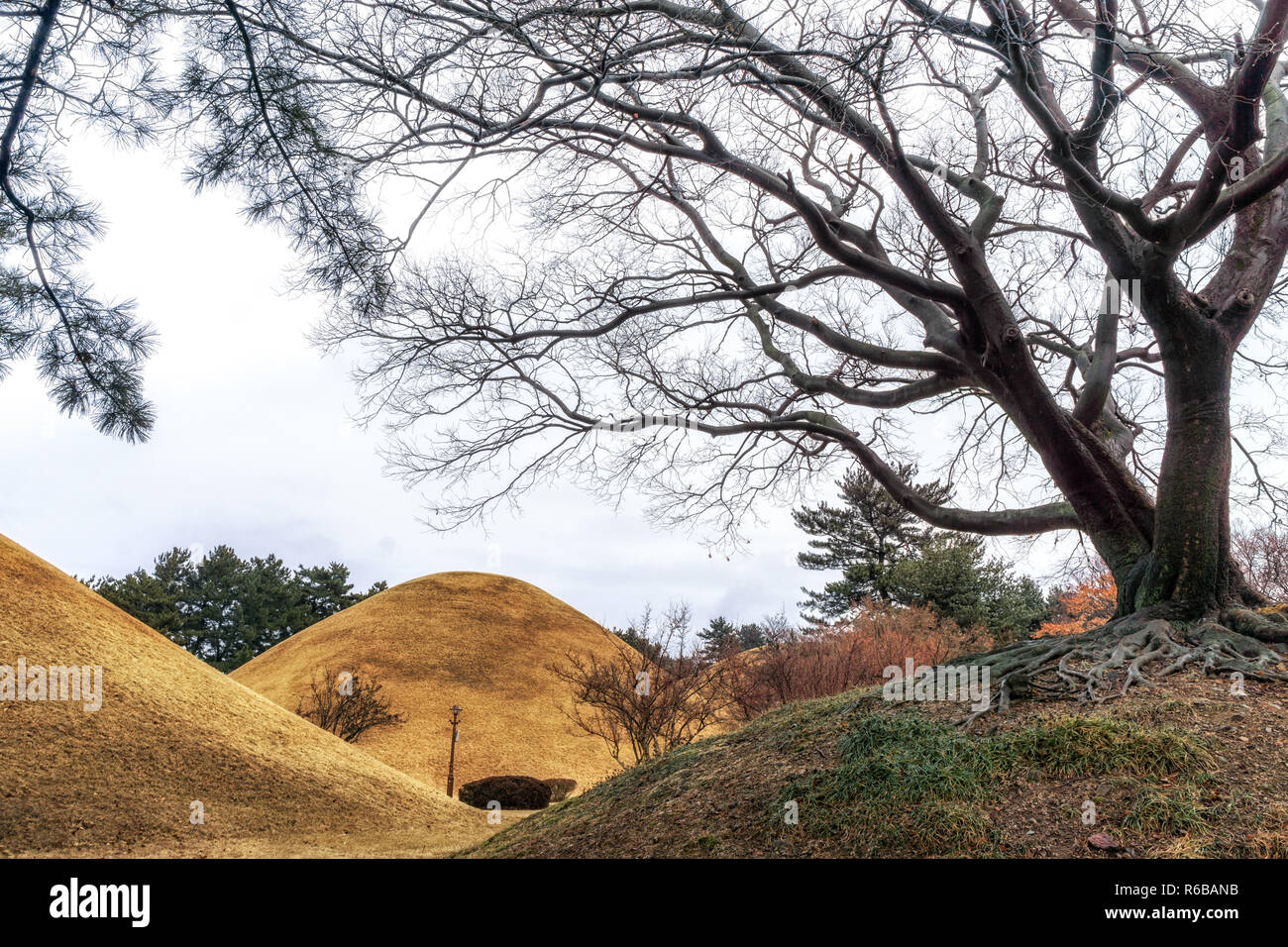 daereungwon tomb complex Stock Photo - Alamy