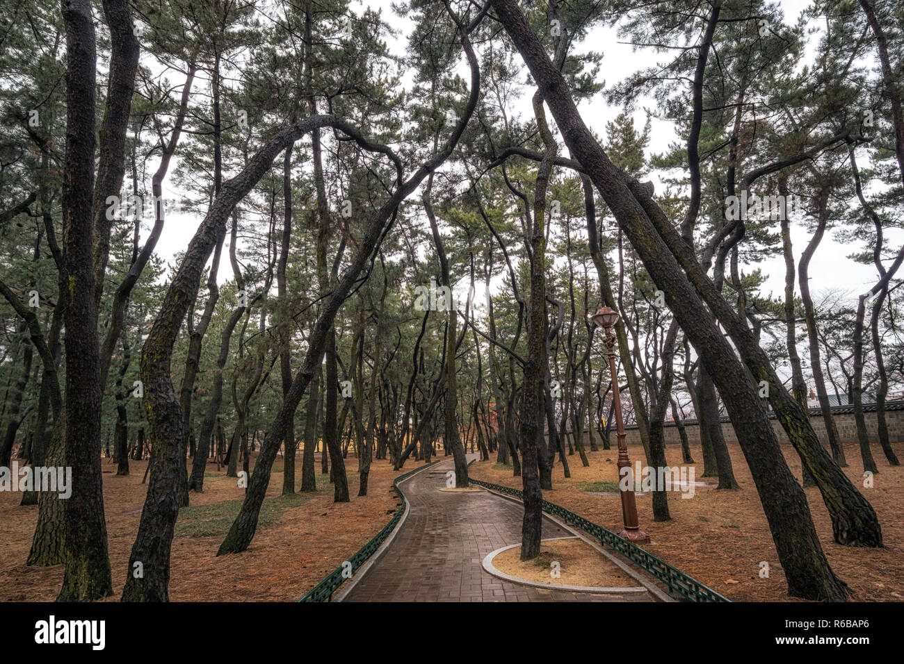 Tumuli park daereungwon tomb complex hi-res stock photography and ...