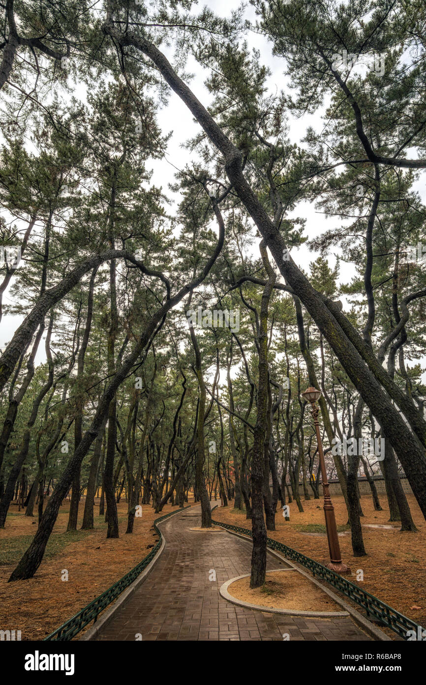 Tumuli park daereungwon tomb complex hi-res stock photography and ...