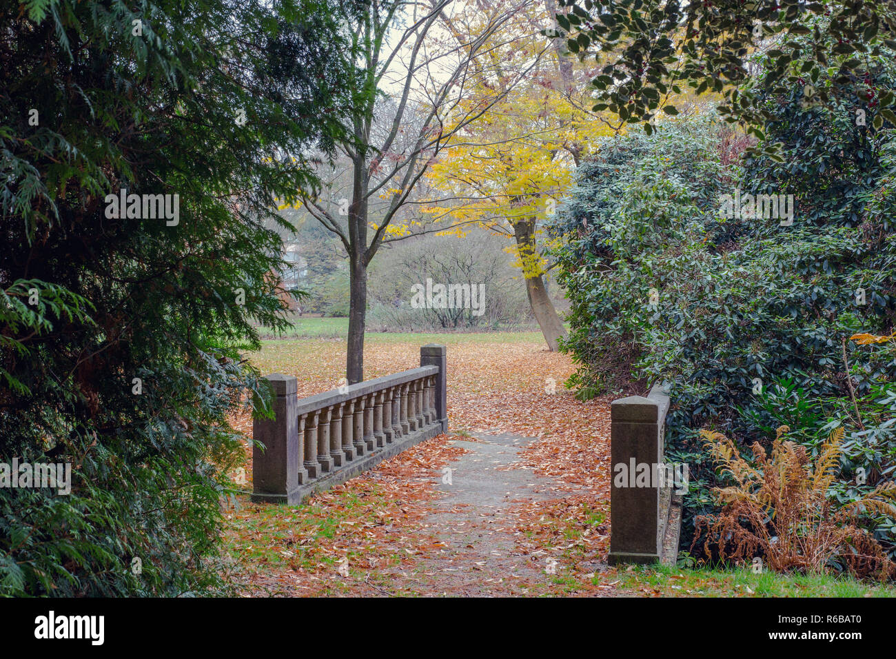 Old Stone Bridge in a green park Stock Photo - Alamy