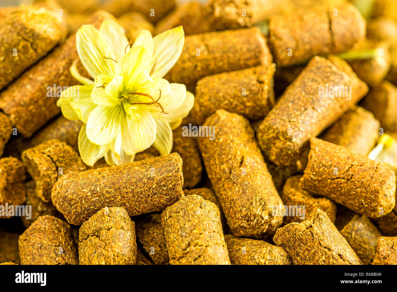 Pellets Of Hops Stock Photo - Alamy