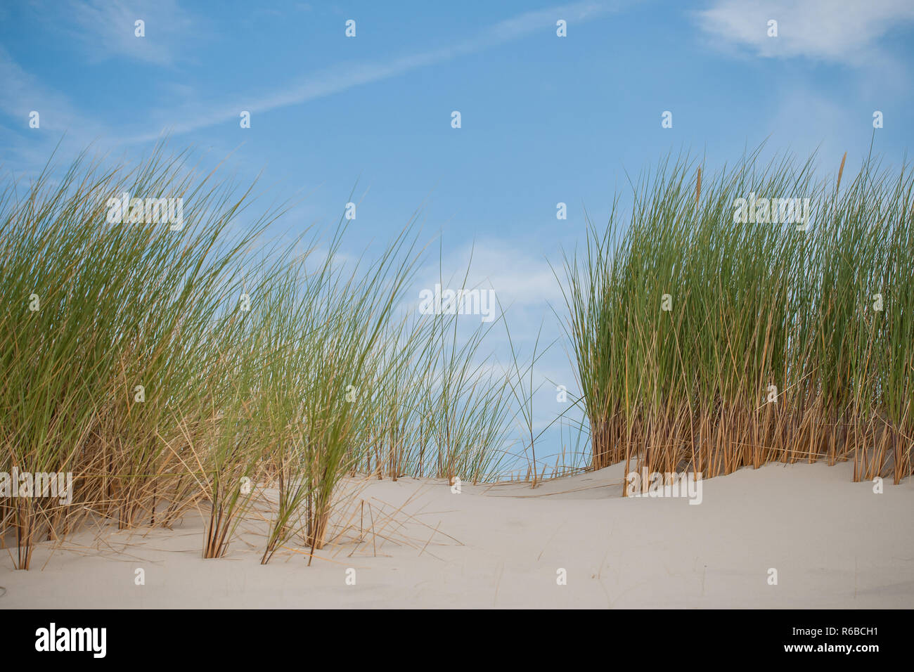 Details of empty beach with dunes waves Stock Photo - Alamy