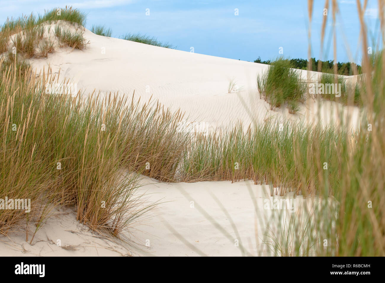 Details of empty beach with dunes waves Stock Photo - Alamy