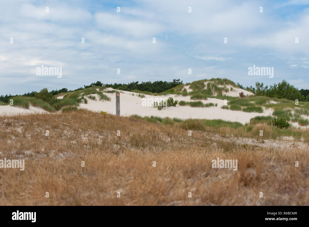 National nature park with dune landscape on the Dutch coast. Landscape ...